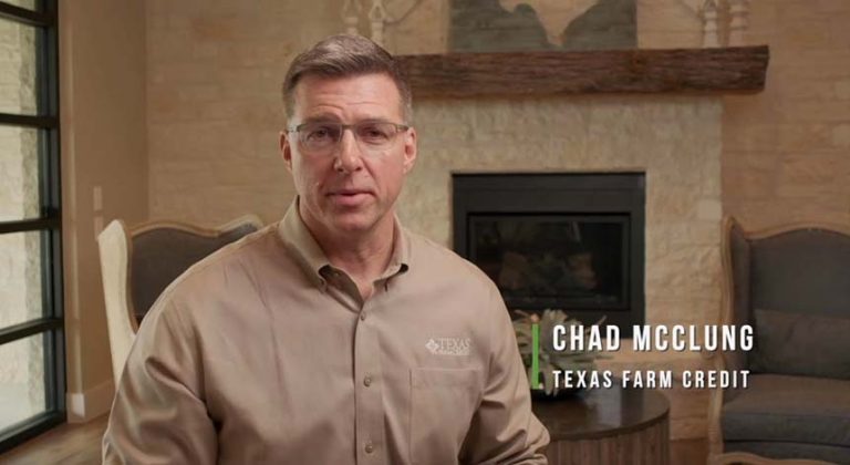 The Different Types of Forestry Financing | Texas Farm Credit