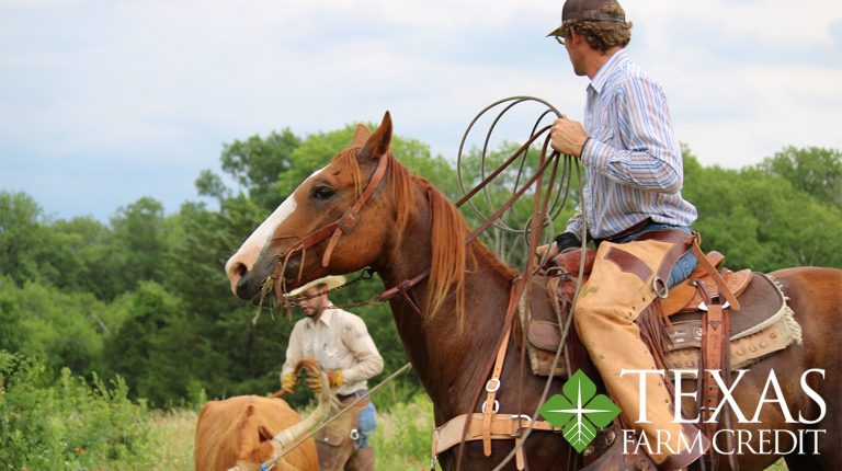 Refinancing Loans | Texas Farm Credit