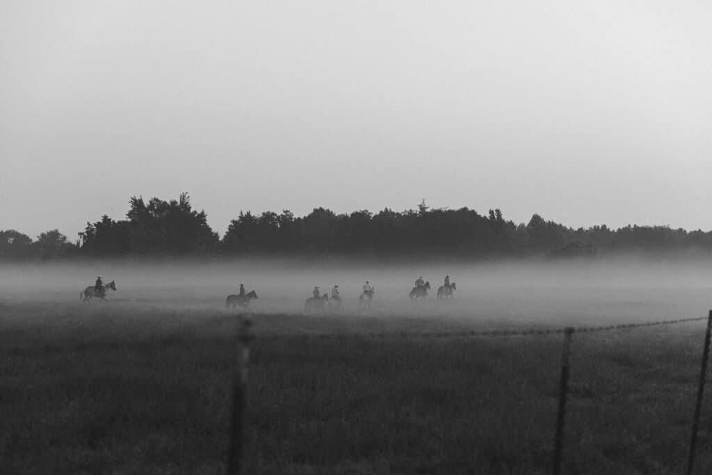 Texas Farm Credit 2025 Photo Contest Results | Texas Farm Credit