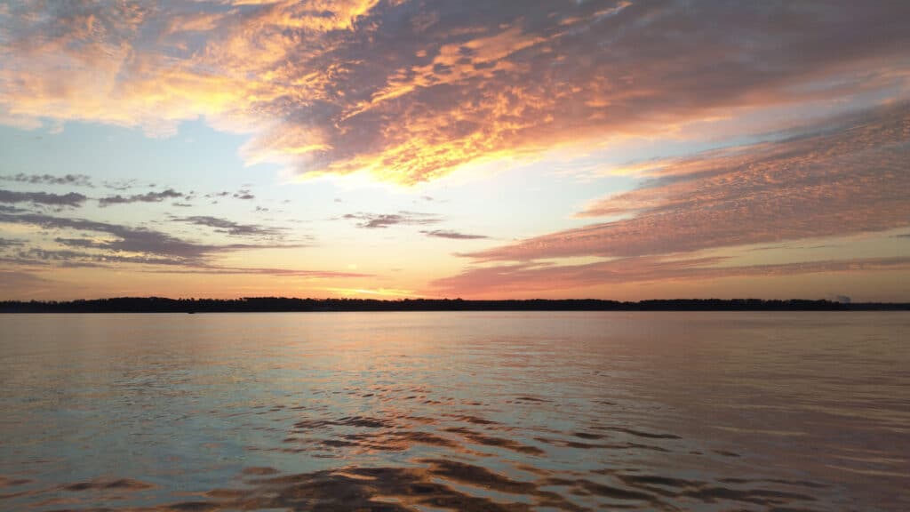 Texas Farm Credit 2025 Photo Contest Results | Texas Farm Credit