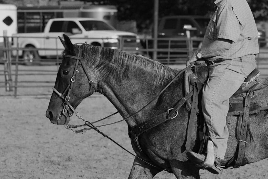 Texas Farm Credit 2025 Photo Contest Results | Texas Farm Credit