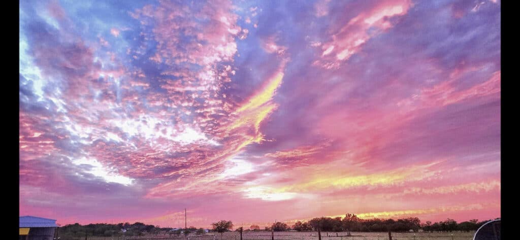 Texas Farm Credit 2025 Photo Contest Results | Texas Farm Credit