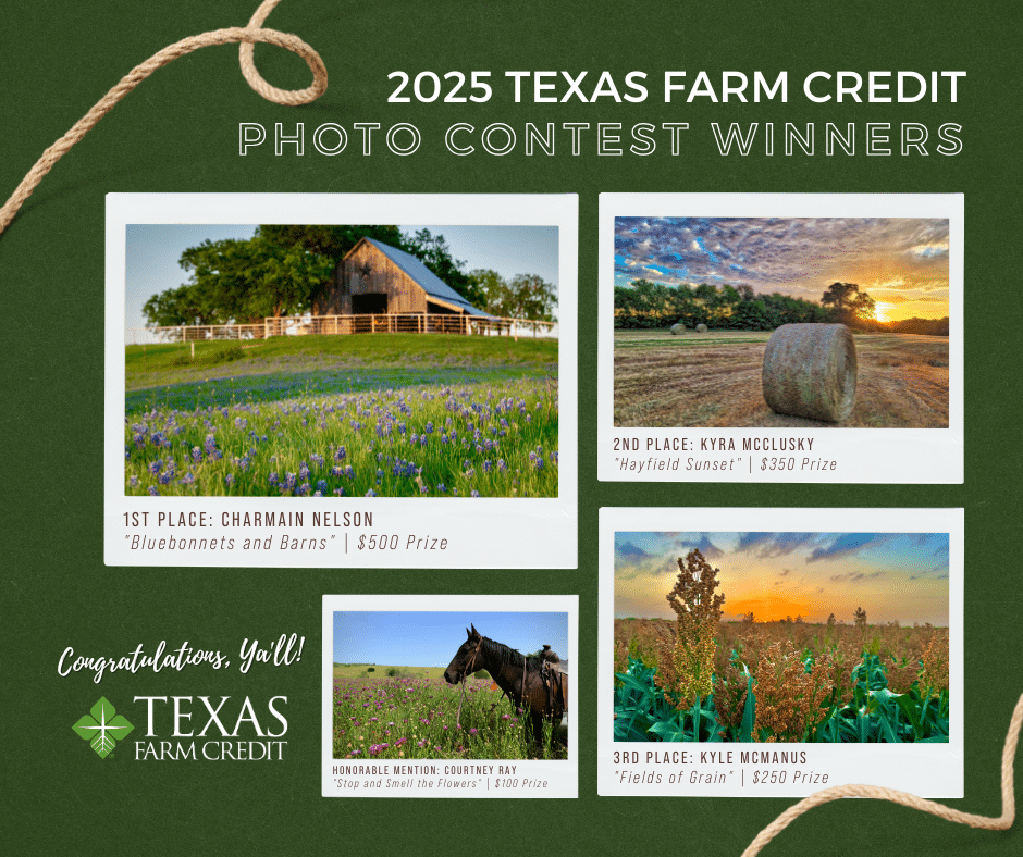 Texas Farm Credit 2026 Photo Contest Results | Texas Farm Credit