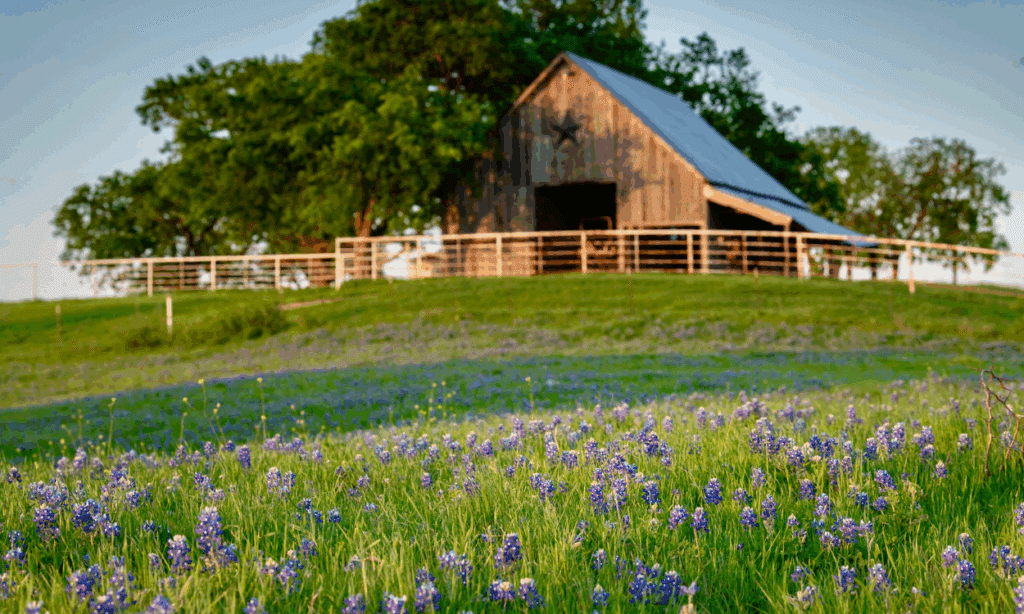 Rural Lifestyle Calendar Photo Contest | Texas Farm Credit